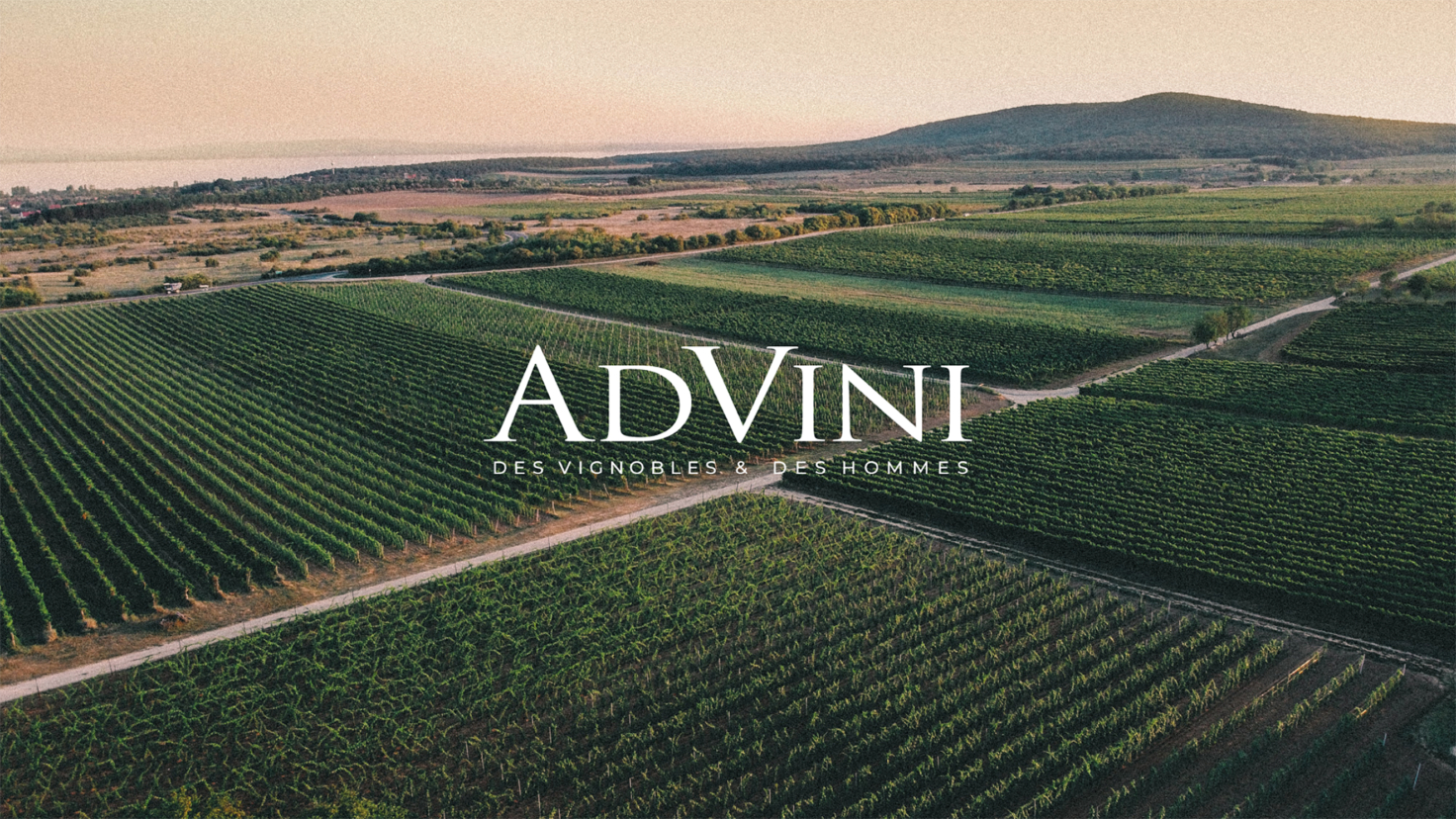 Generous Branding - Agence de Branding - La Marque au Coeur