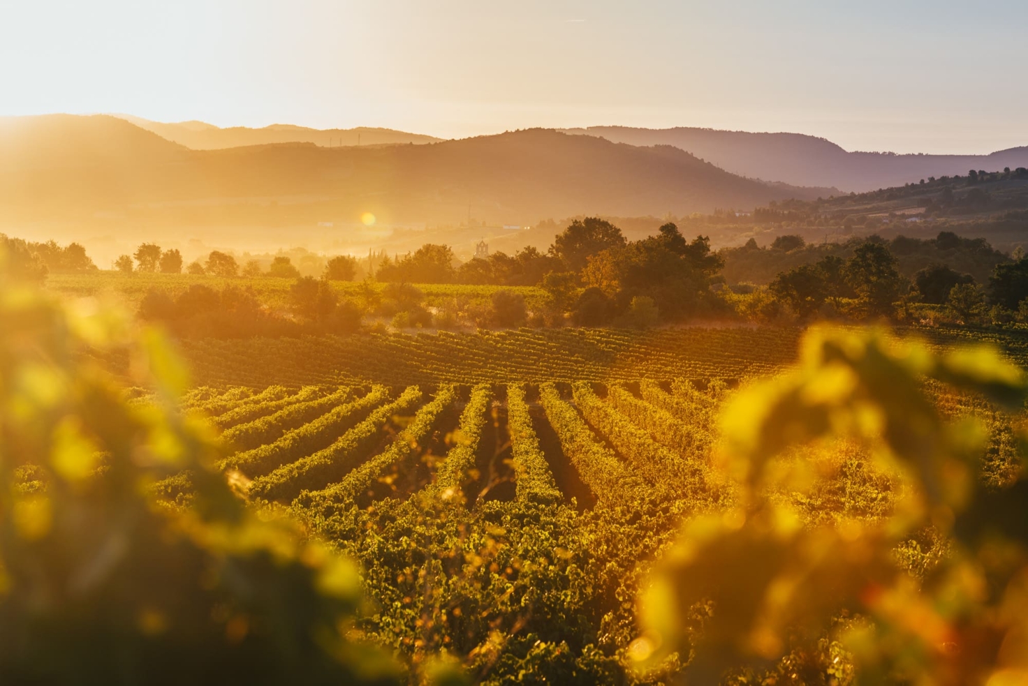 Generous Branding - Agence de Branding - La Marque au Coeur